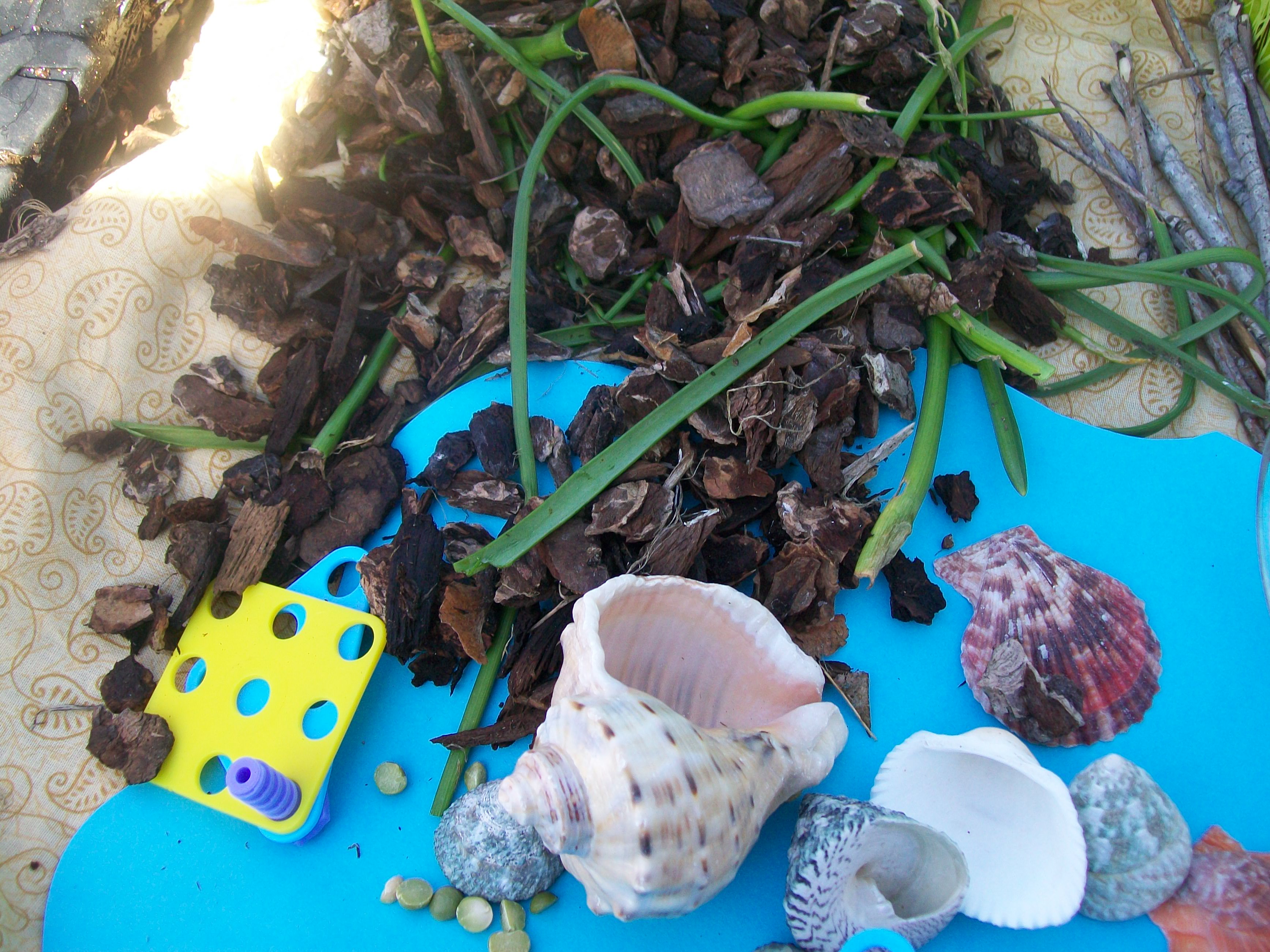 Mud – The Marigold School of Early Learning